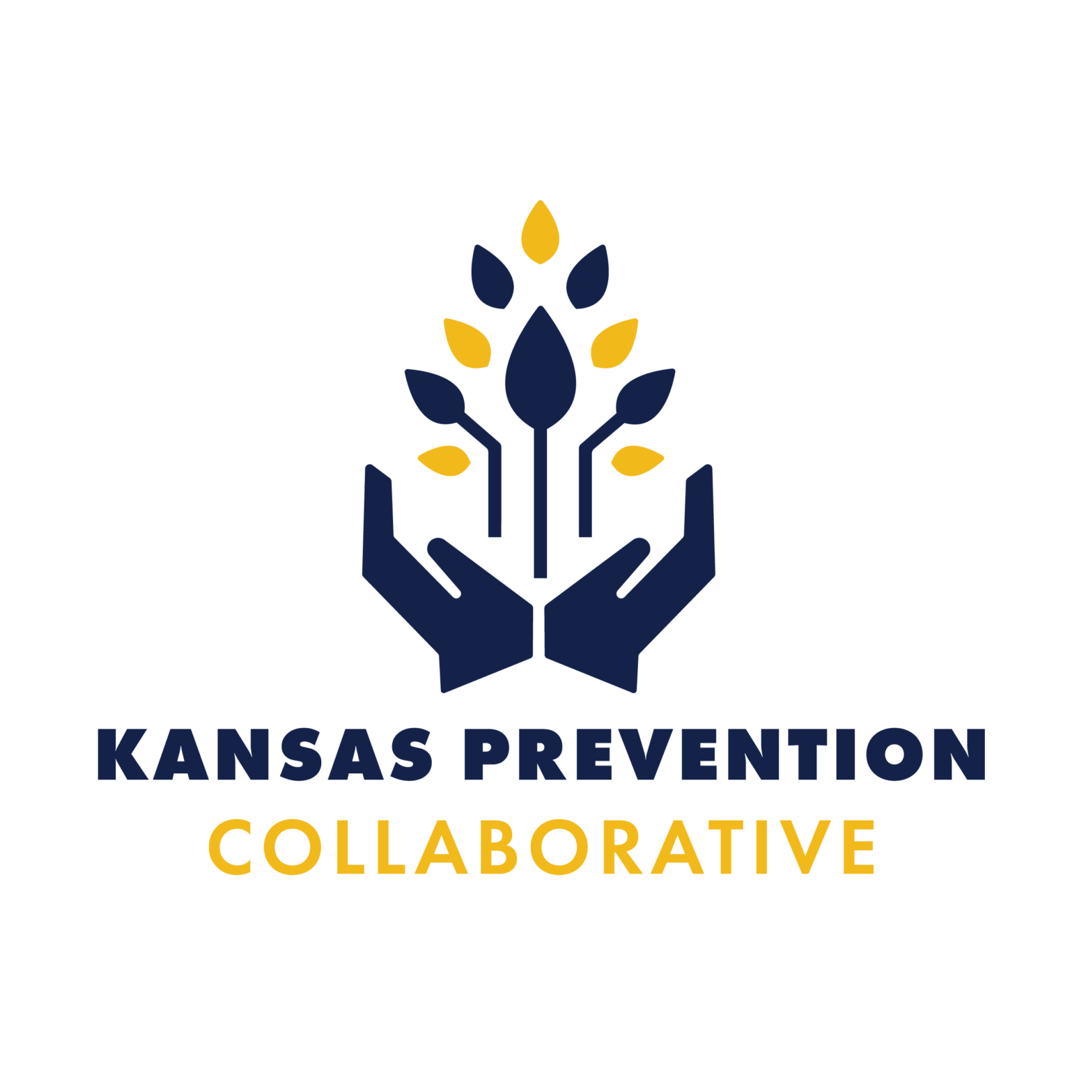 About Kansas Prevention Collaborative (KPC)